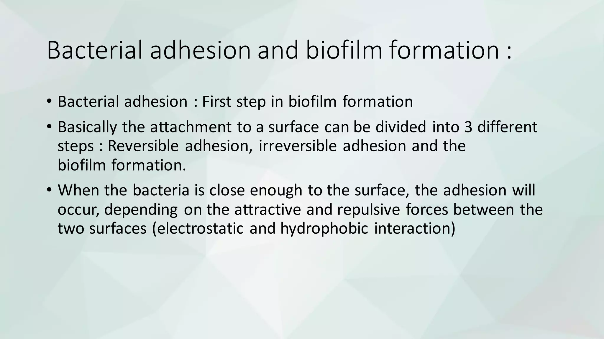 Atomic force microscopy measurements of bacterial adhesion and biofilm ...