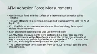 Atomic force microscopy measurements of bacterial adhesion and biofilm ...