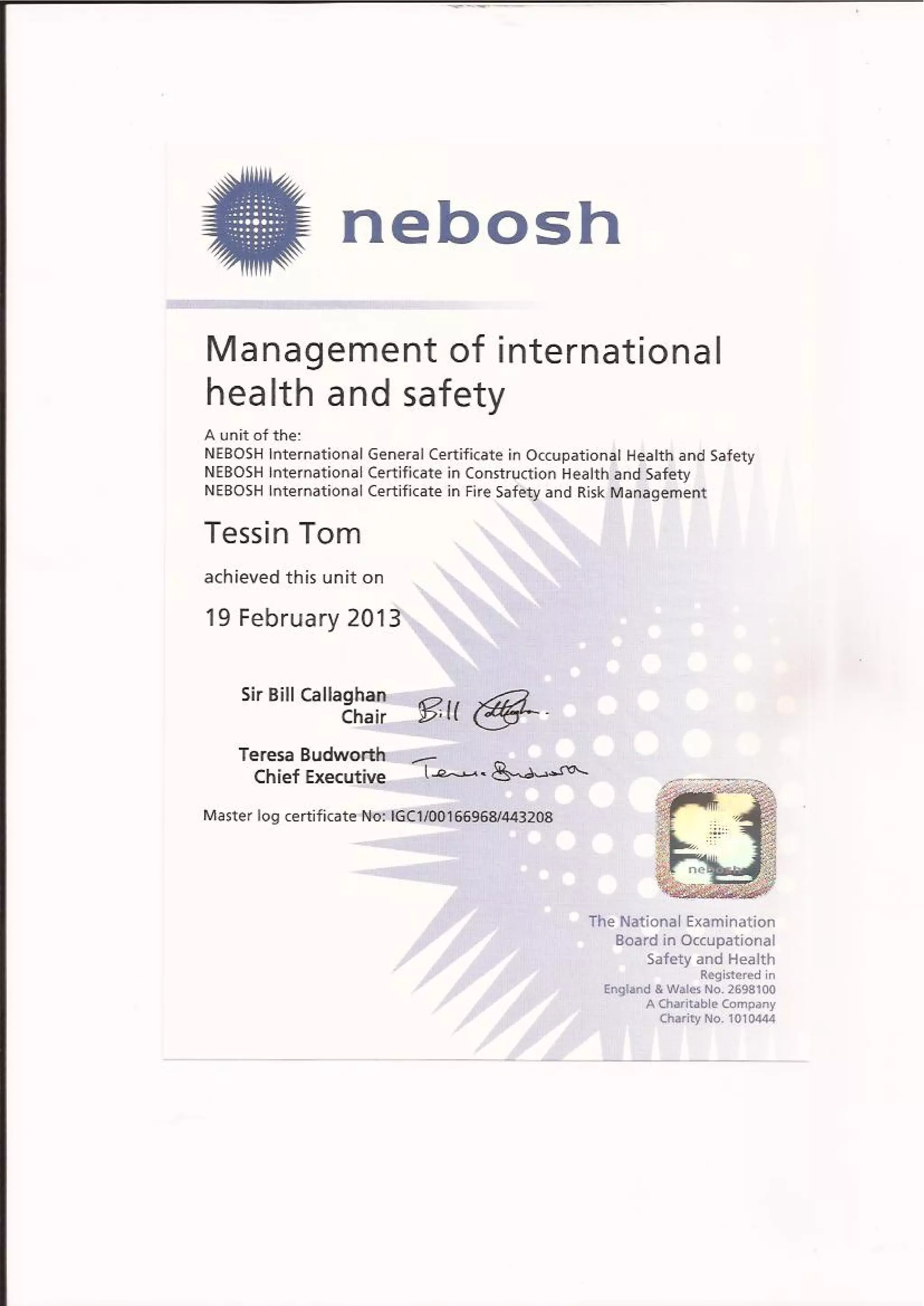NEBOSH IGC 1 Certificate | PDF