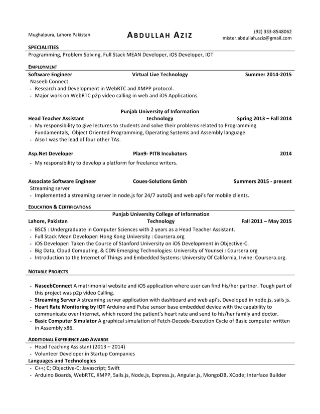 CV-Abdullah Aziz | PDF