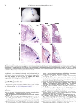 DevelopmentalBio;2010 | PDF