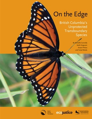 Monarch Butterfly Report | PDF