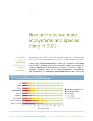 Monarch Butterfly Report | PDF