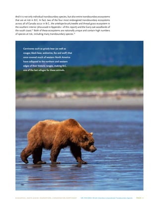 Monarch Butterfly Report | PDF