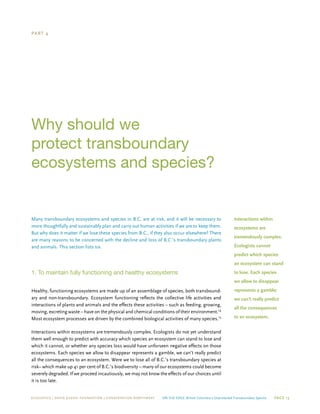 Monarch Butterfly Report | PDF