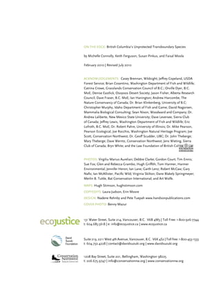 Monarch Butterfly Report | PDF