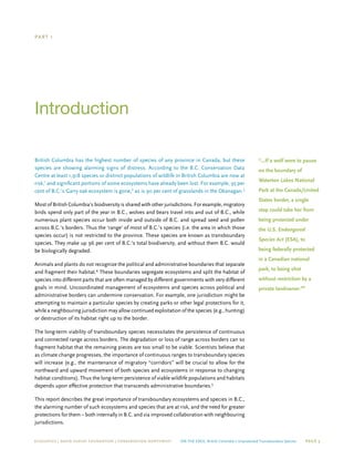 Monarch Butterfly Report | PDF