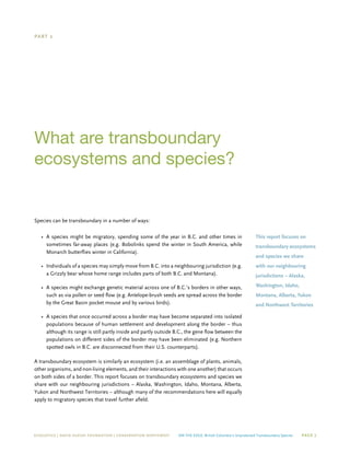 Monarch Butterfly Report | PDF