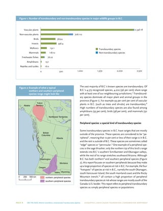 Monarch Butterfly Report | PDF