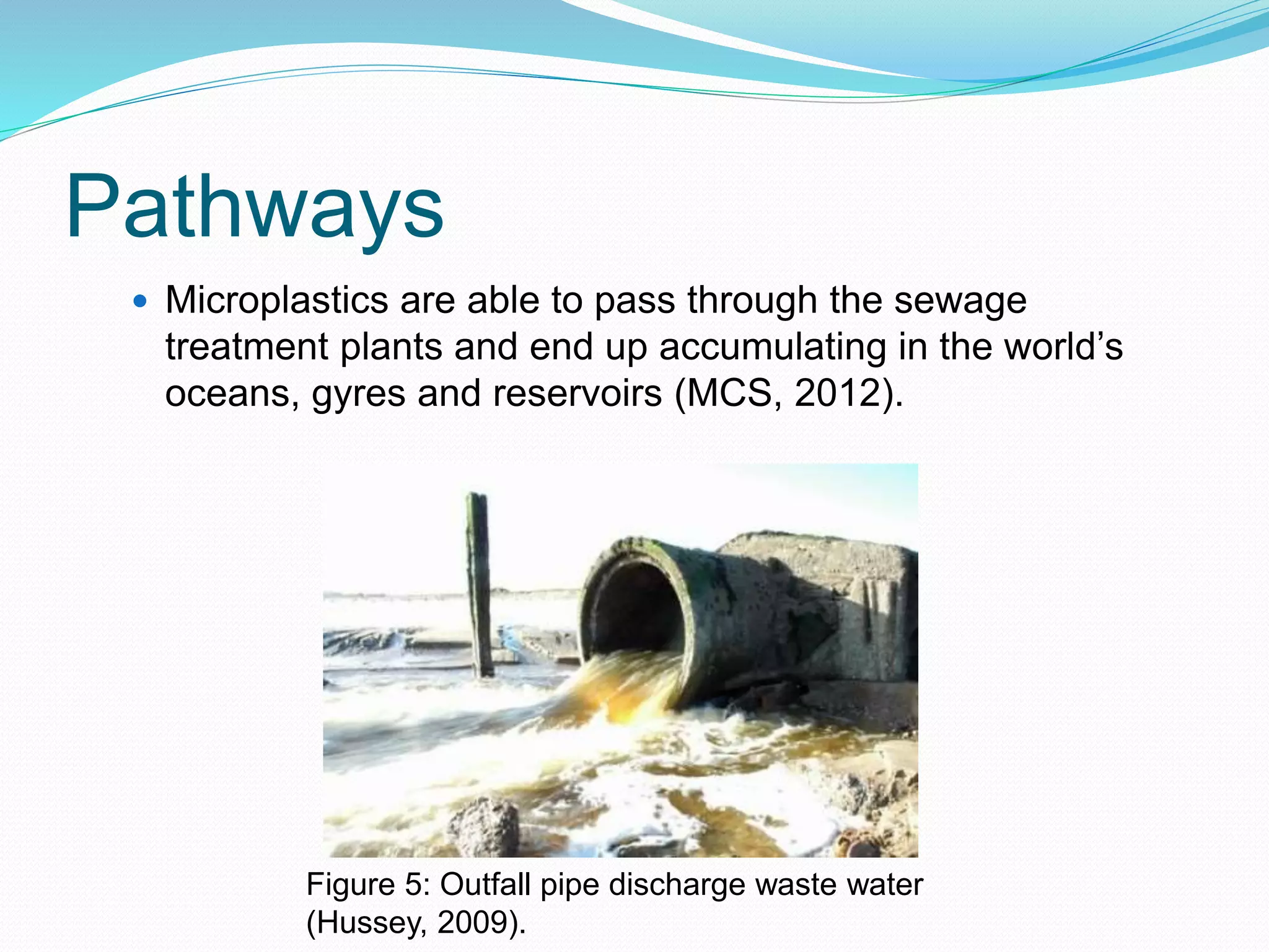 Microplastic Presentation | PPTX