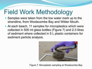 Microplastic Presentation | PPTX