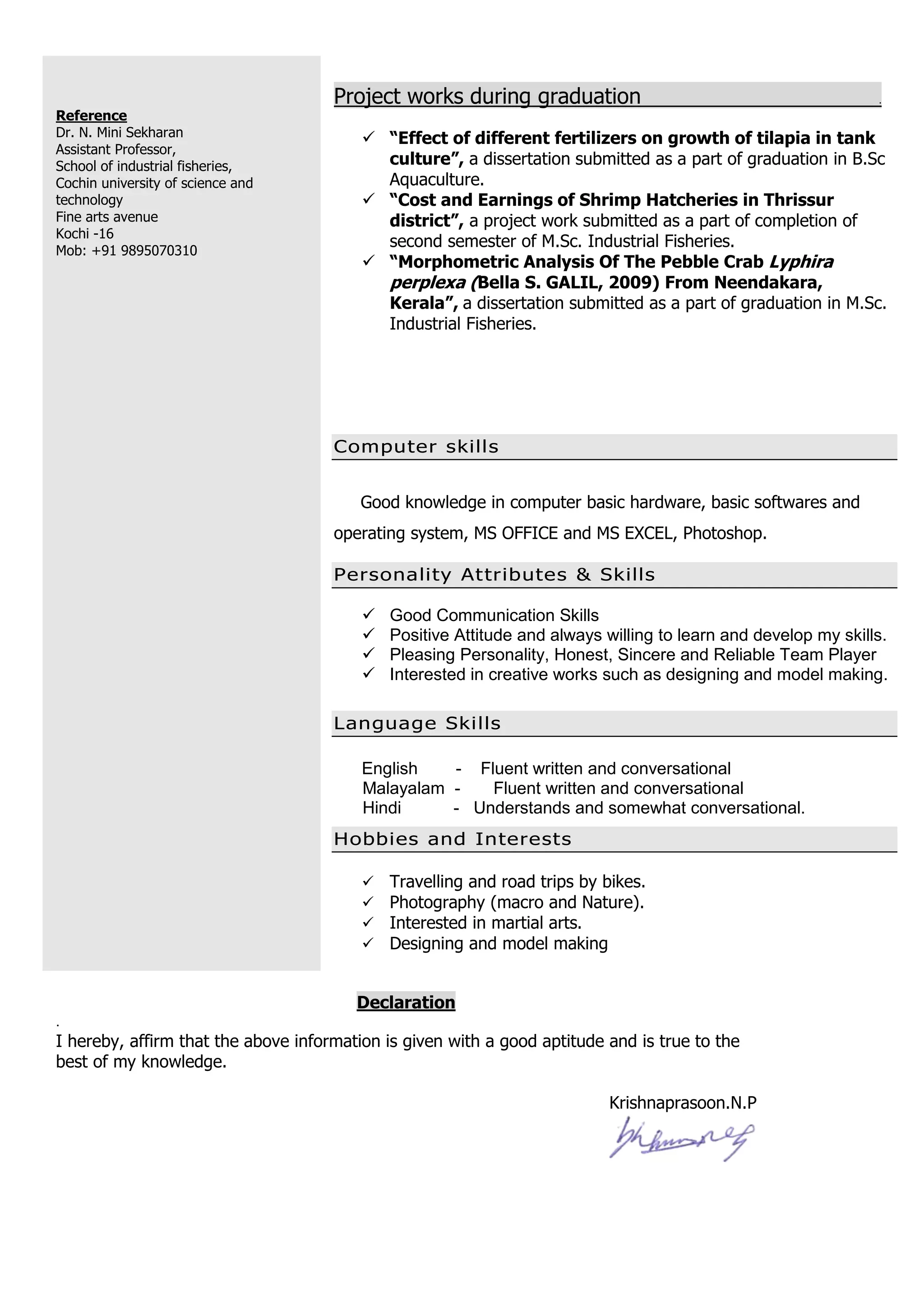 prasoon resume | PDF