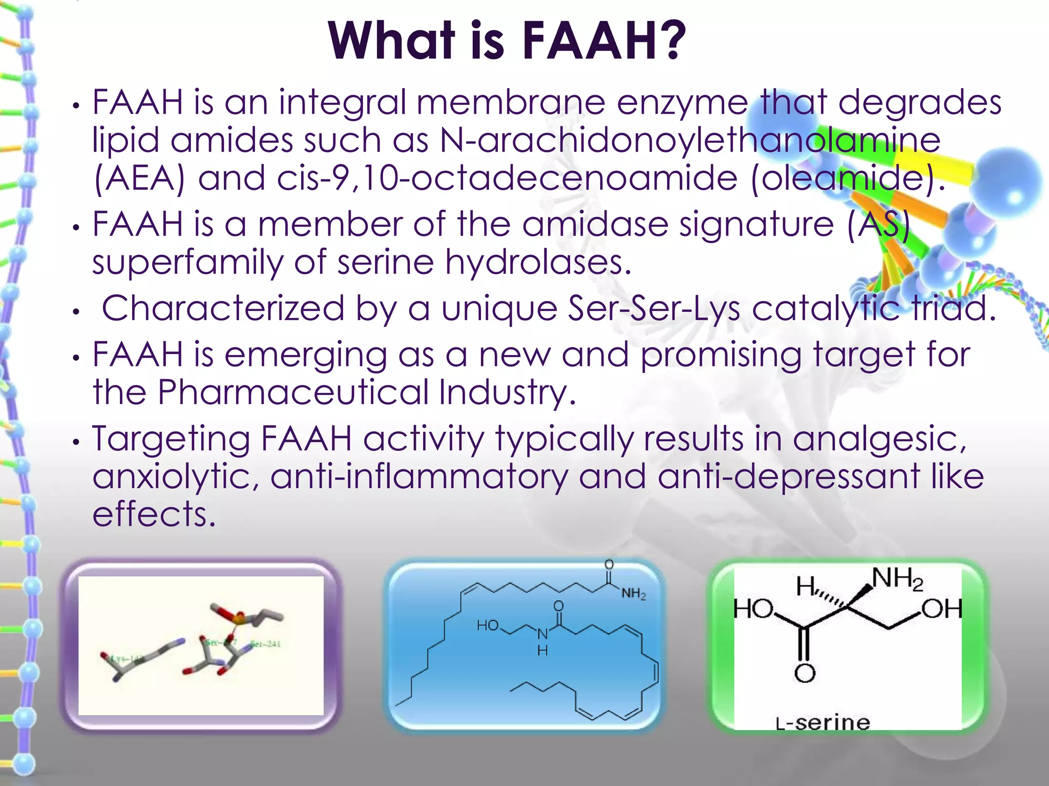 Faah inhibitors | PPTX