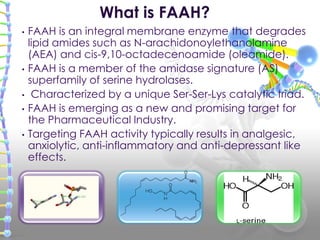 Faah inhibitors | PPT