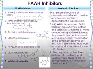 Faah inhibitors | PPT