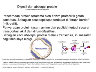 Faal digestif | PPT