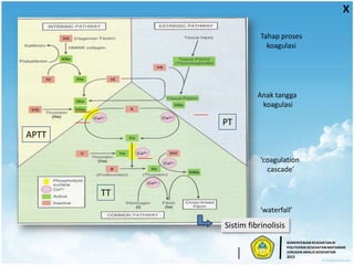 Faal hemostasis | PPTX
