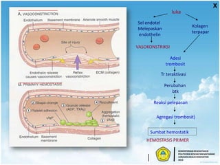 Faal hemostasis | PPTX