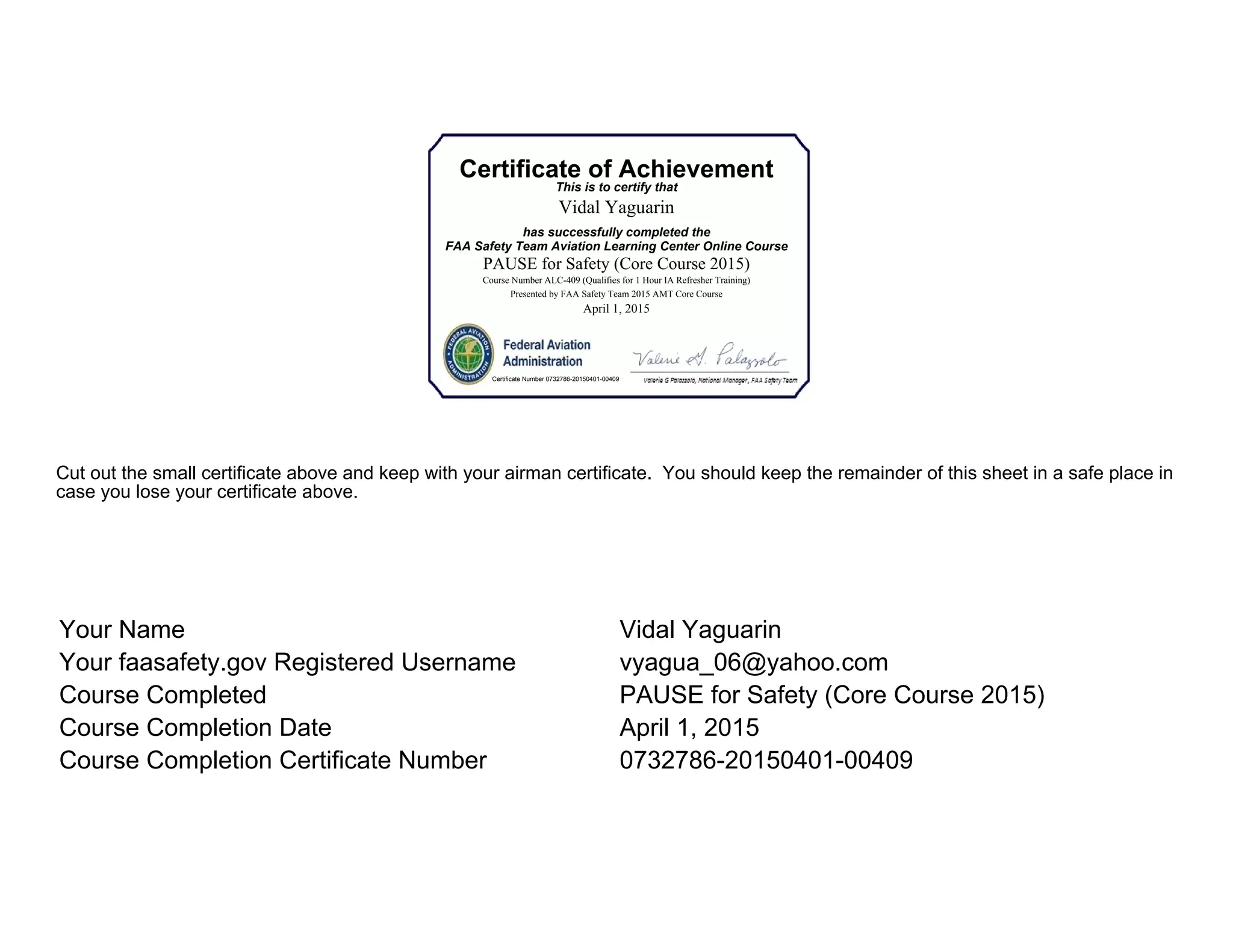 FAA Course Pause for Safety | PDF