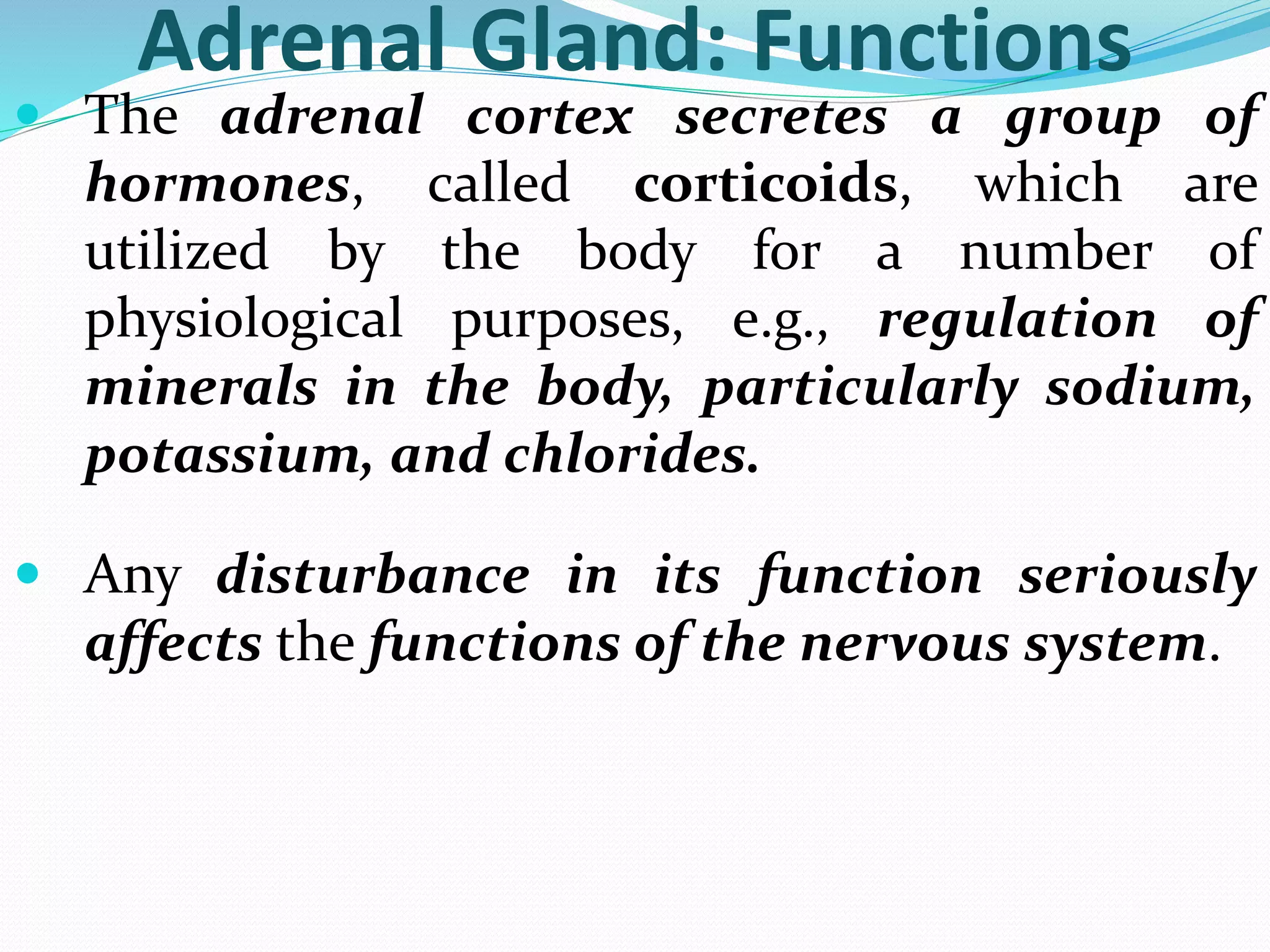 endocrinal glands their location, function and behaviour (part 2) | PPTX