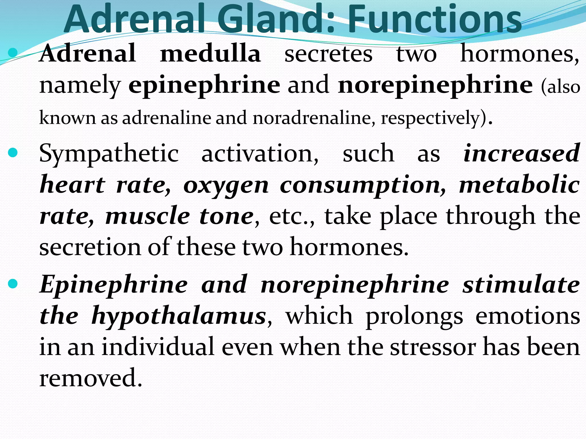endocrinal glands their location, function and behaviour (part 2) | PPTX