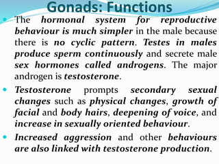 endocrinal glands their location, function and behaviour (part 2) | PPTX