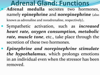 endocrinal glands their location, function and behaviour (part 2) | PPTX