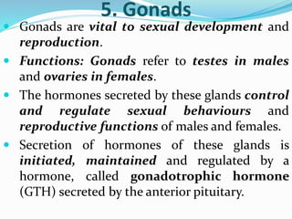 endocrinal glands their location, function and behaviour (part 2) | PPTX