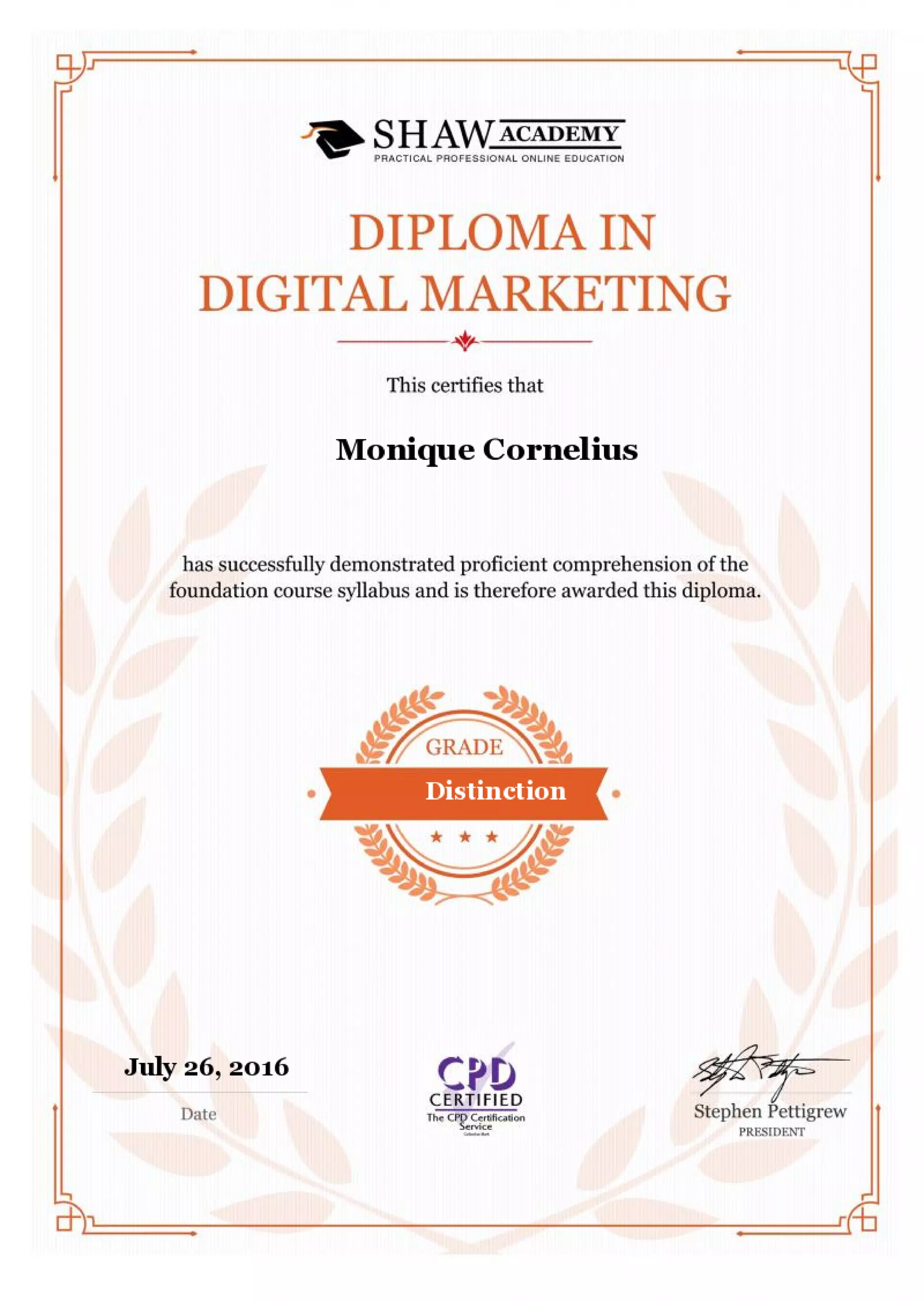 Diploma Digital Marketing | PDF | Marketing and Advertising | Business