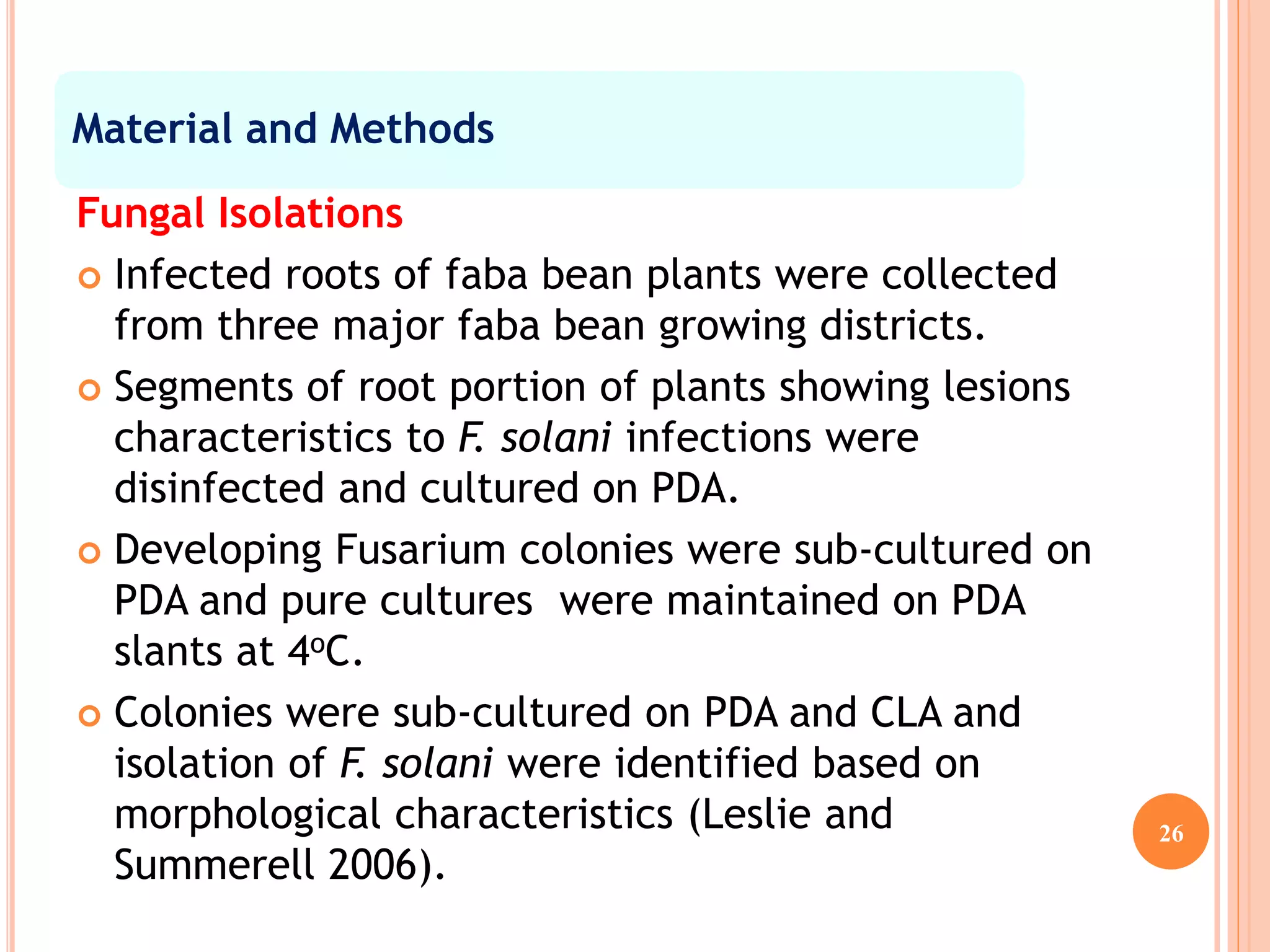 Faba bean root rot defense final.ppt