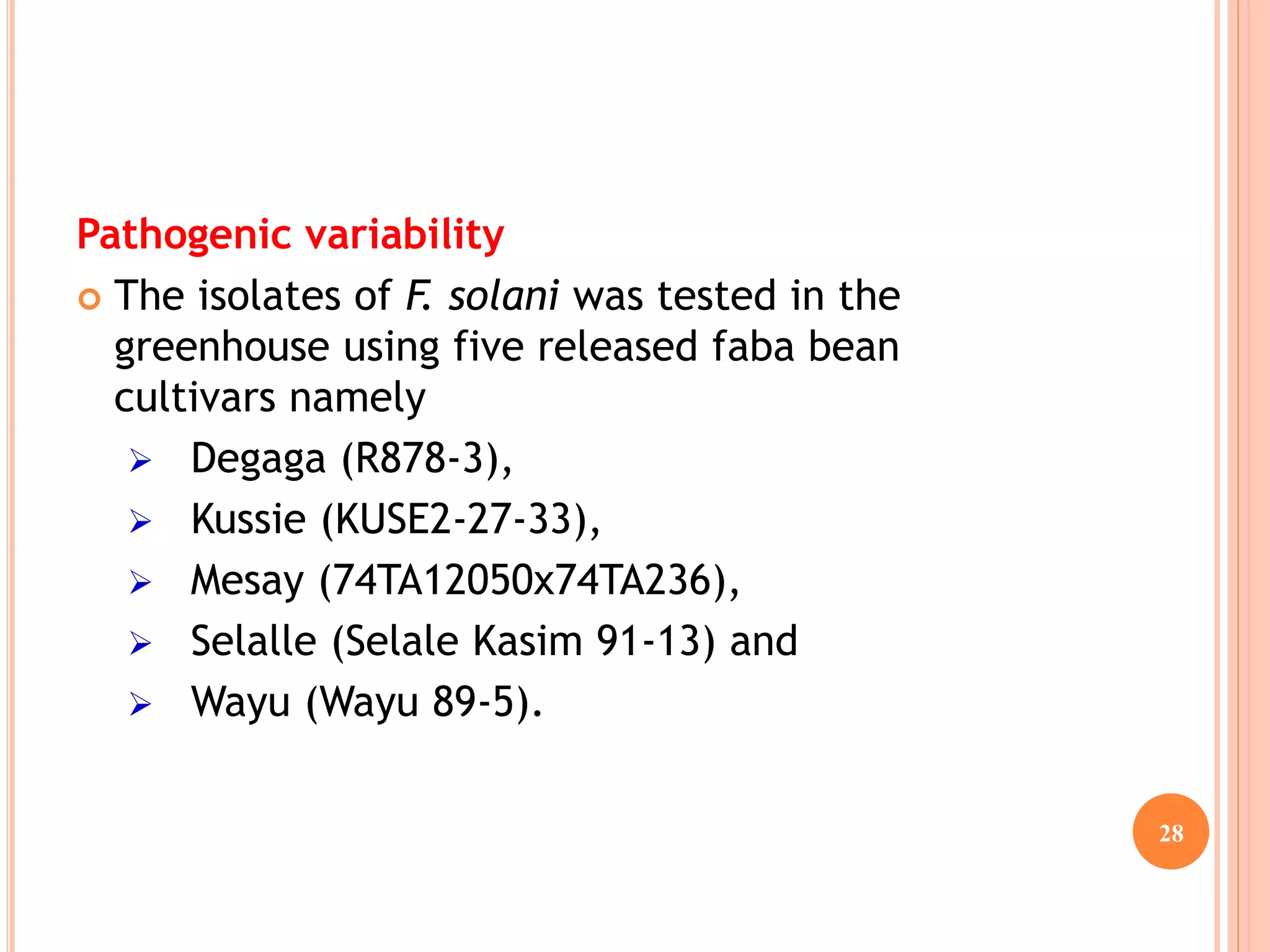 Faba bean root rot defense final.ppt