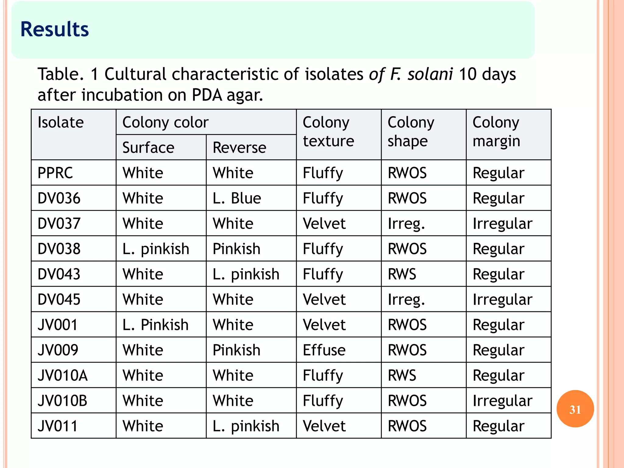 Faba bean root rot defense final.ppt