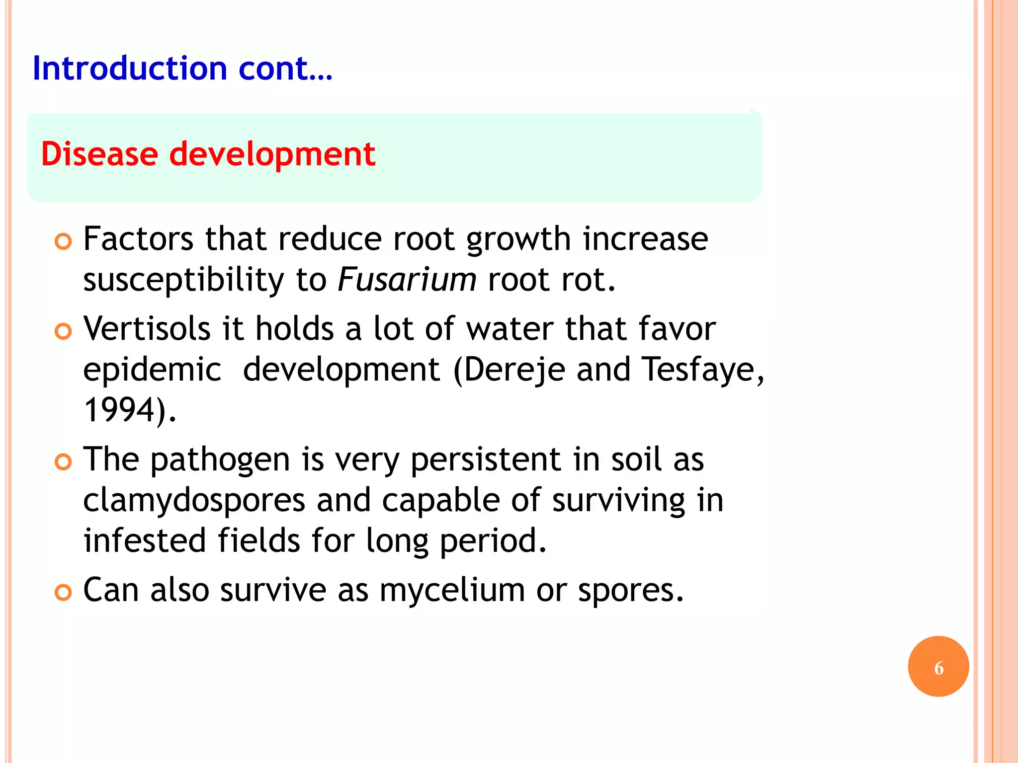 Faba bean root rot defense final.ppt