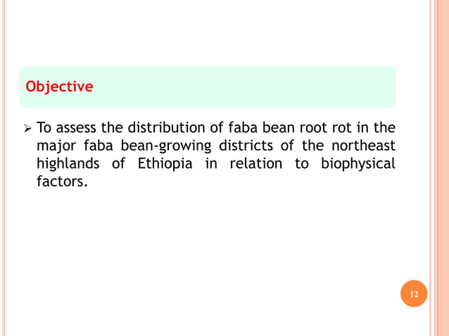 Faba bean root rot defense final.ppt