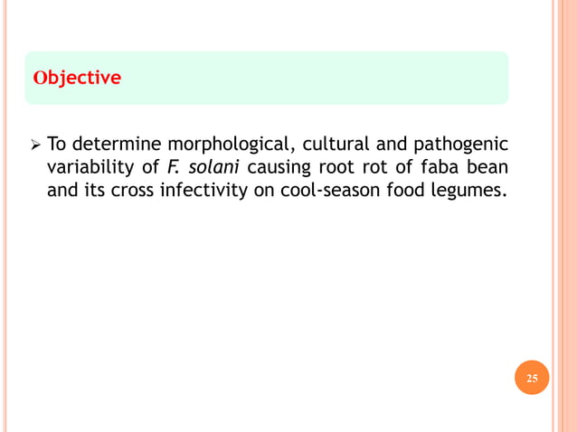 Faba bean root rot defense final.ppt