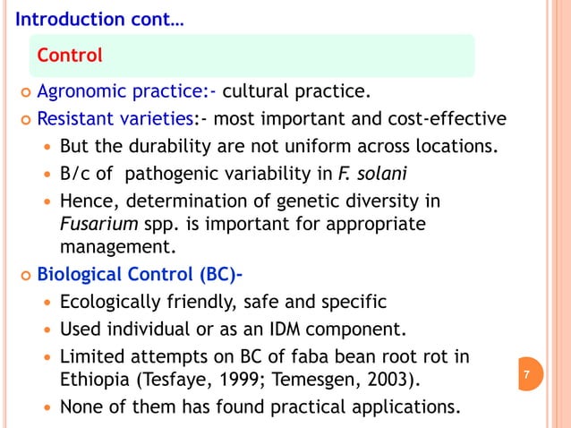 Faba bean root rot defense final.ppt