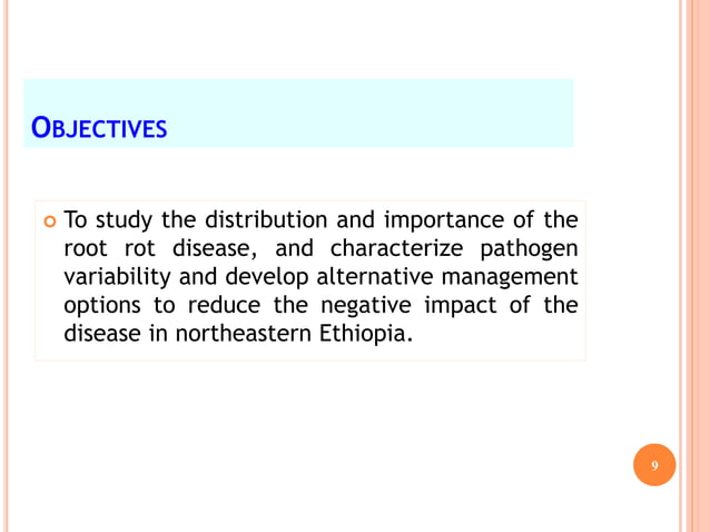 Faba bean root rot defense final.ppt