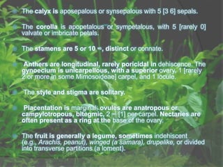 Fabaceae (2) (Caesal) | PPT