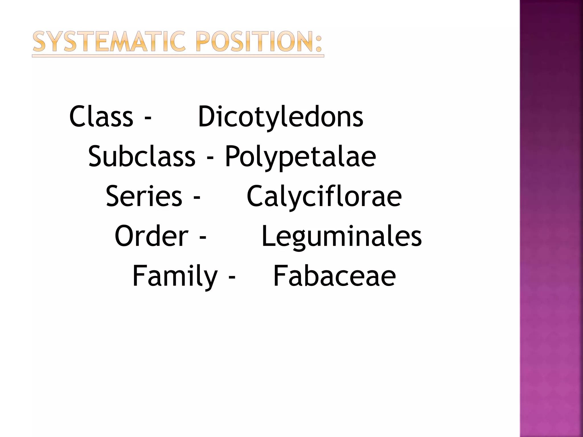Fabaceae IN TAXONOMY | PPTX