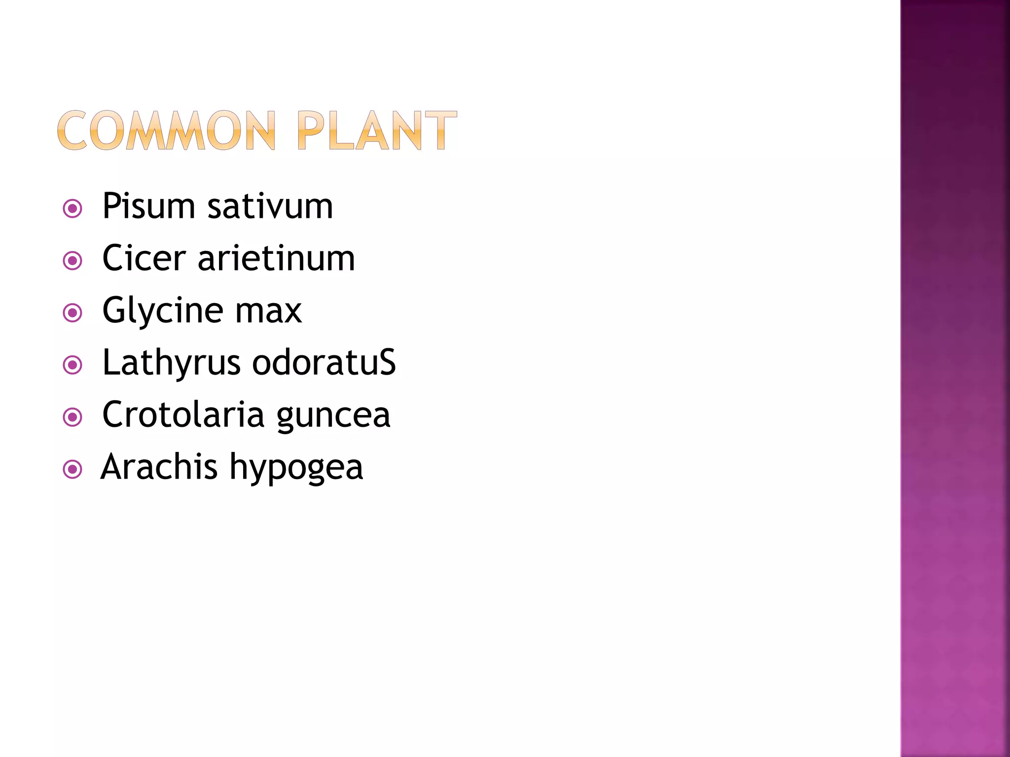 Fabaceae IN TAXONOMY | PPTX