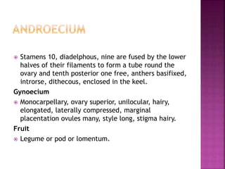 Fabaceae IN TAXONOMY | PPTX