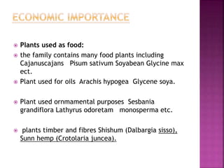 Fabaceae IN TAXONOMY | PPTX