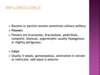 Fabaceae IN TAXONOMY | PPTX