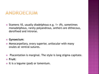 Fabaceae IN TAXONOMY | PPTX