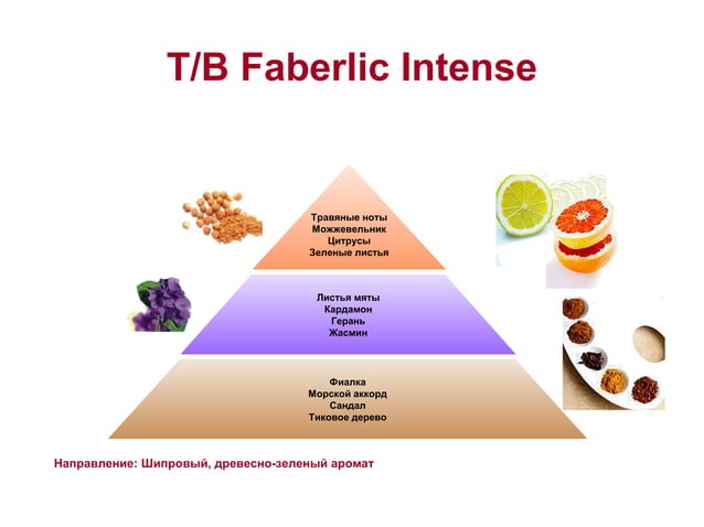Faberlic Intense, Perfume collection | PPT