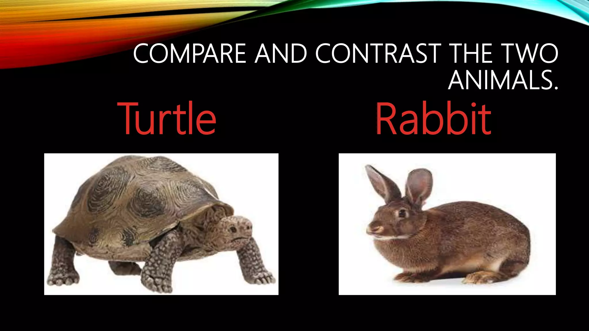 Fable and-its-elements | PPTX