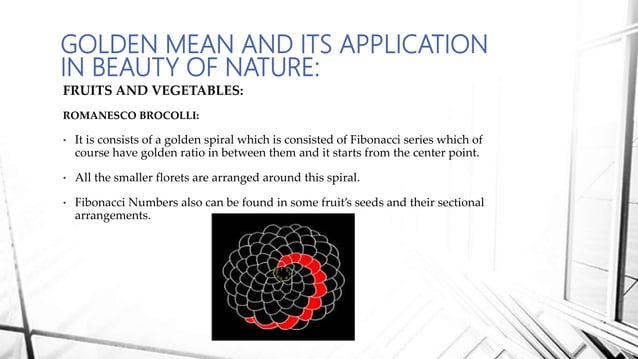 FIBONACCI SERIES AND THE MIRACLES OF GOLDEN MEAN | PPT