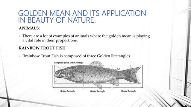 FIBONACCI SERIES AND THE MIRACLES OF GOLDEN MEAN | PPT