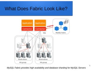 Triangle MySQL User Group MySQL Fabric Presentation Feb 12th, 2015 | PPT