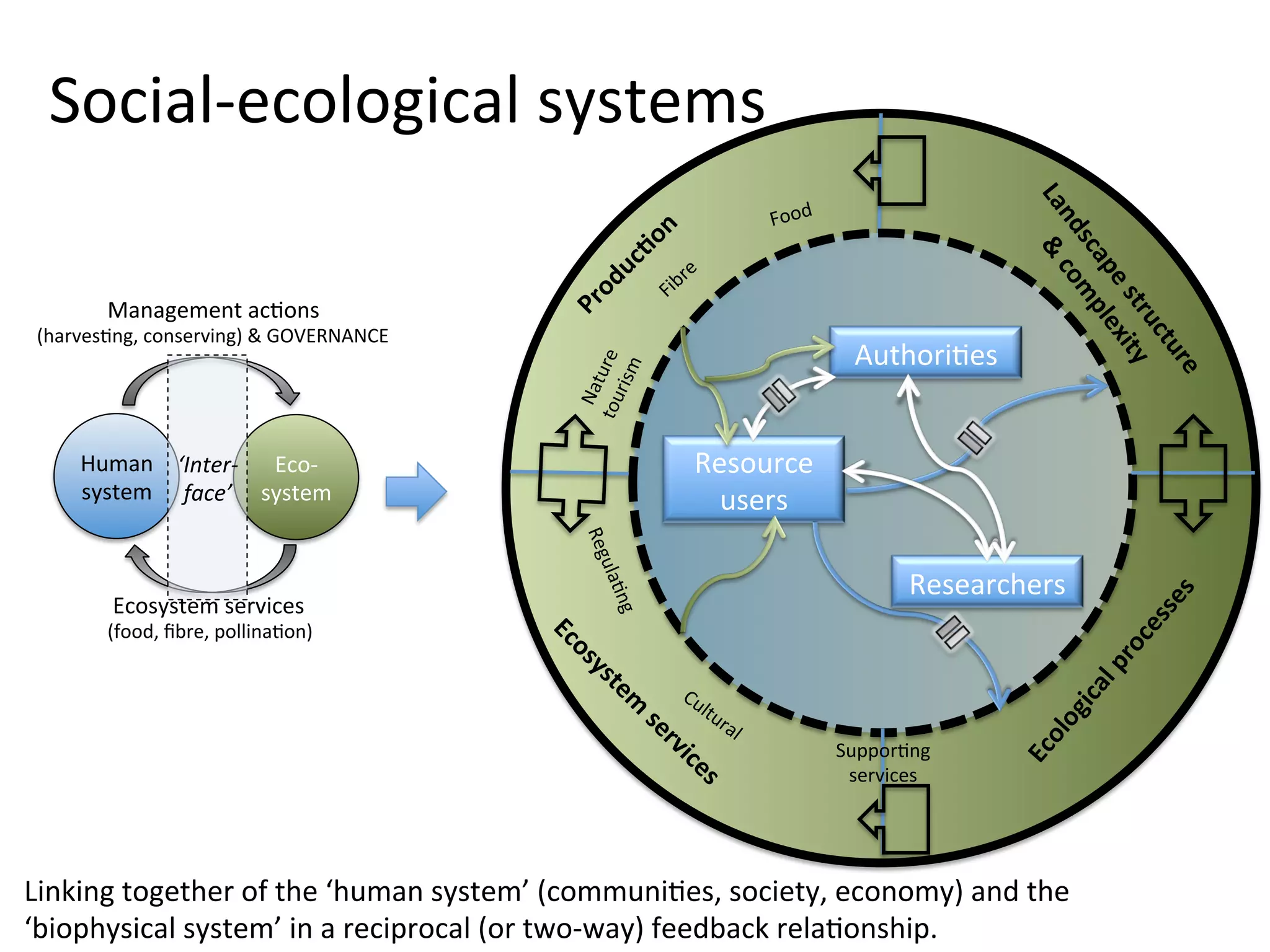 Introduction to social-ecological systems and their governance | PDF ...